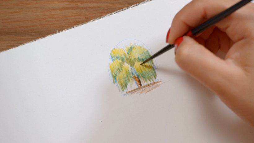 Tutorial Ilustración botánica: cómo dibujar un árbol | Domestika