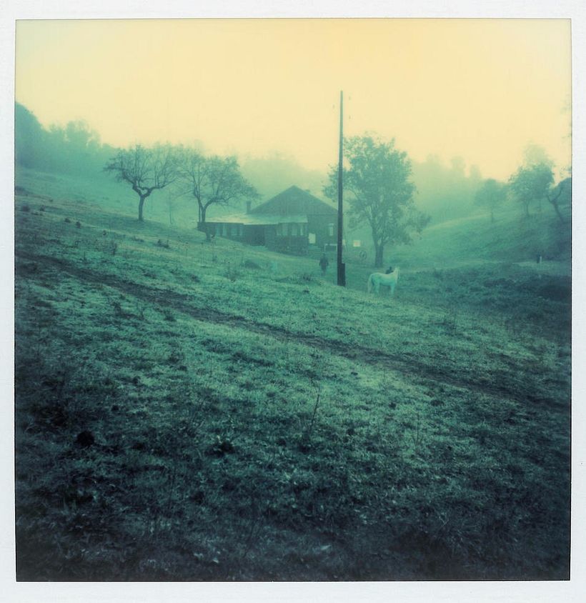 7 Polaroids and Inspiring Quotes by Andrei Tarkovsky | Domestika