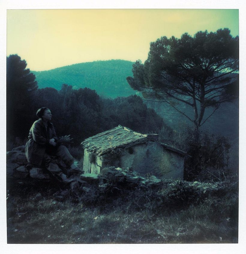 7 Polaroids and Inspiring Quotes by Andrei Tarkovsky | Domestika