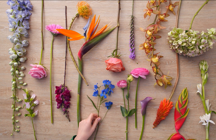 Free Download: A Color Theory Guide for Floral Compositions | Domestika