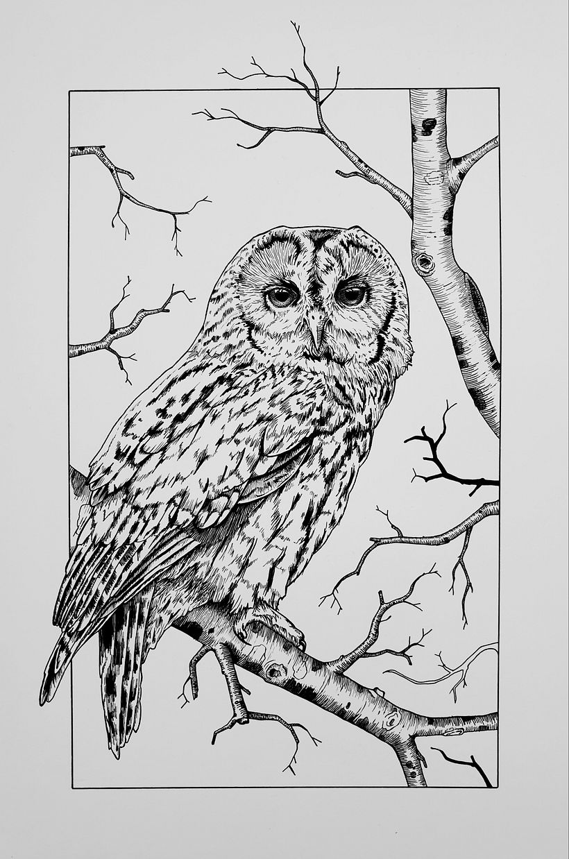 My project for course: Dip Pen and Ink Illustration: Capturing The ...