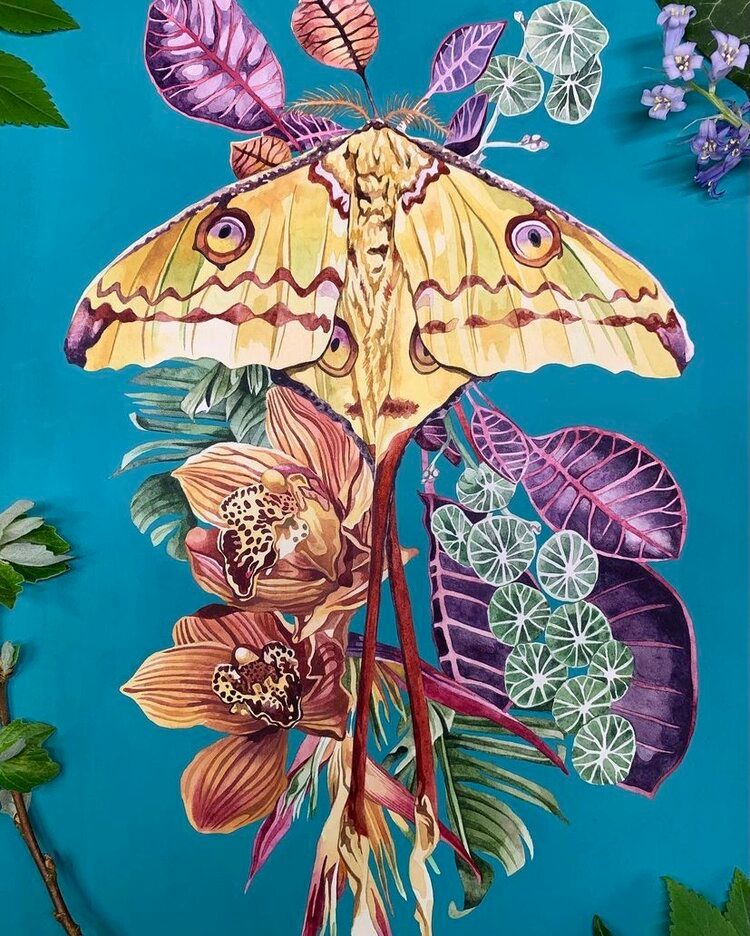Entomology artworks | Domestika