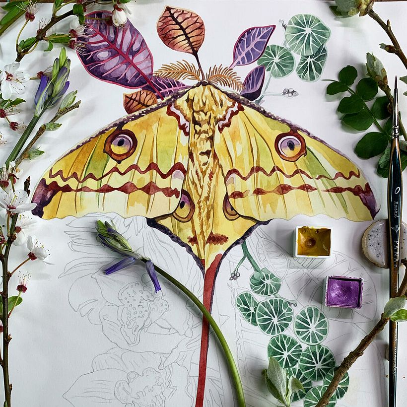 Entomology artworks | Domestika