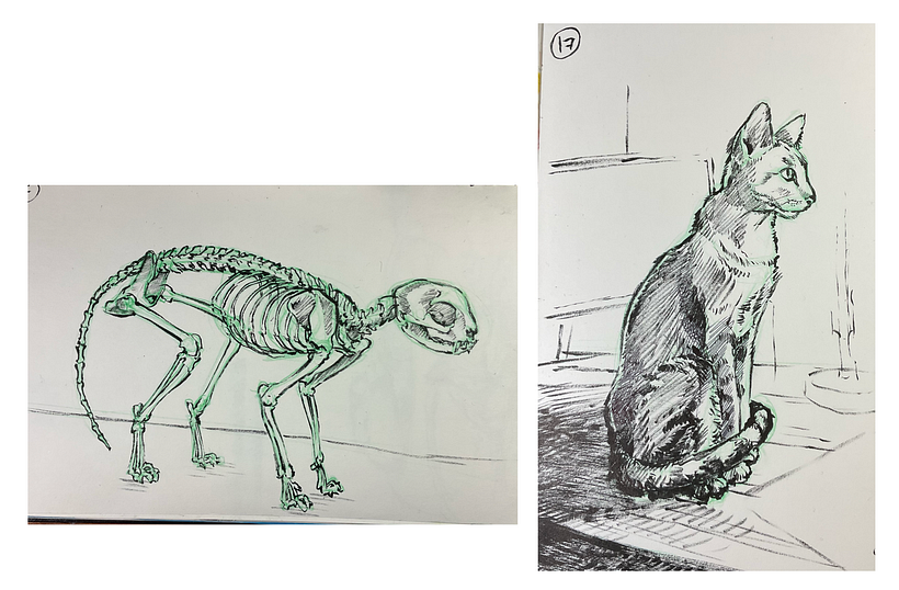 My project for course: Daily Sketching for Creative Inspiration | Domestika