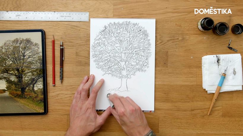 Illustration Tutorial: How to Draw a Tree in Pen and Ink | Domestika