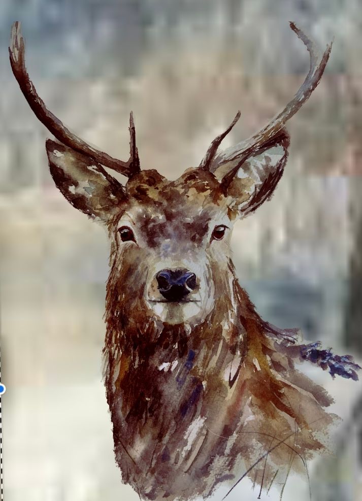 Using Procreate to help design a watercolour background | Domestika