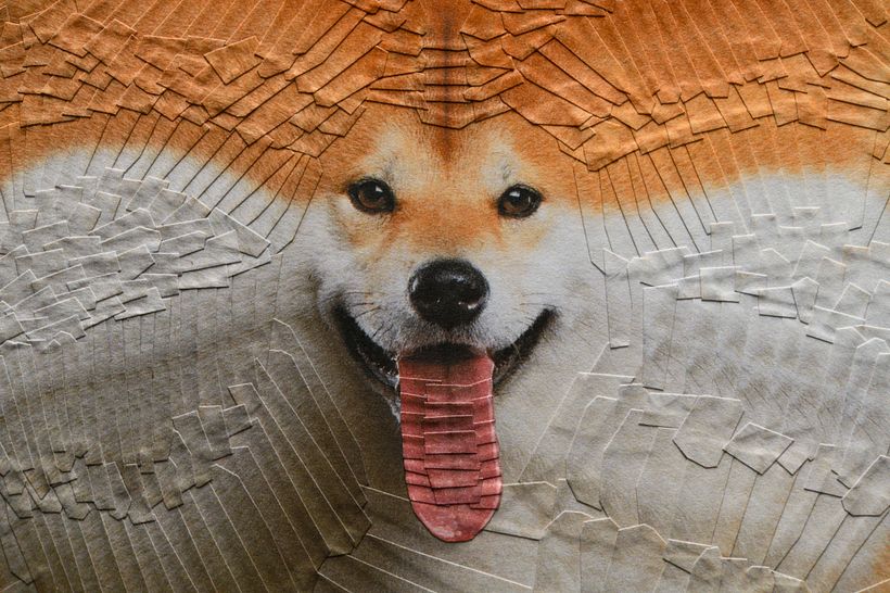¿Aburrido de lo convencional? Descubre estos cinco proyectos de collage ...