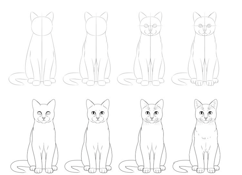 How to Draw a Realistic Cat Step-by-step | Domestika
