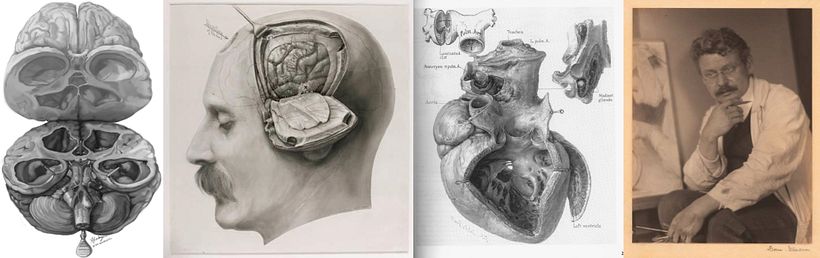 8 Inspiring Medical and Scientific Artists | Domestika