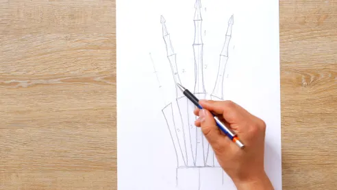 Tutorial Anatomical drawing: how to draw a hand | Domestika