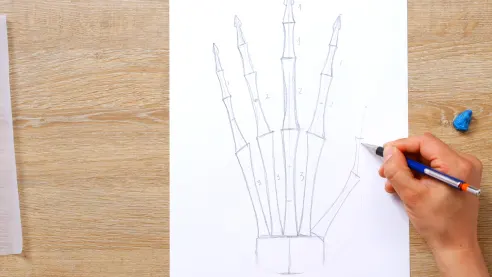 Tutorial Anatomical drawing: how to draw a hand | Domestika