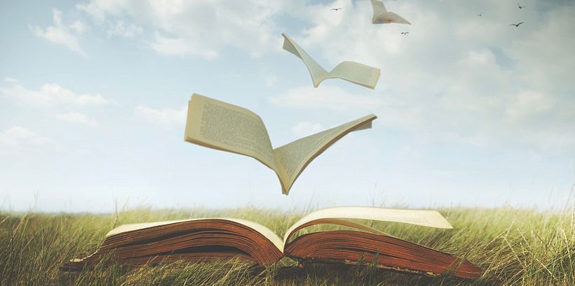 Tipos de géneros literarios: ¿cuáles son? | Domestika