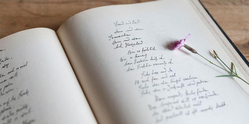 How to make a sonnet step by step (+ Examples) | Domestika