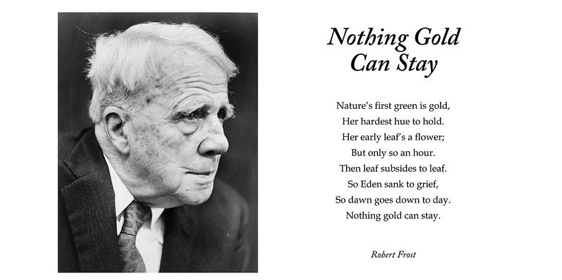 10 famous American Poets you Need To Know | Domestika