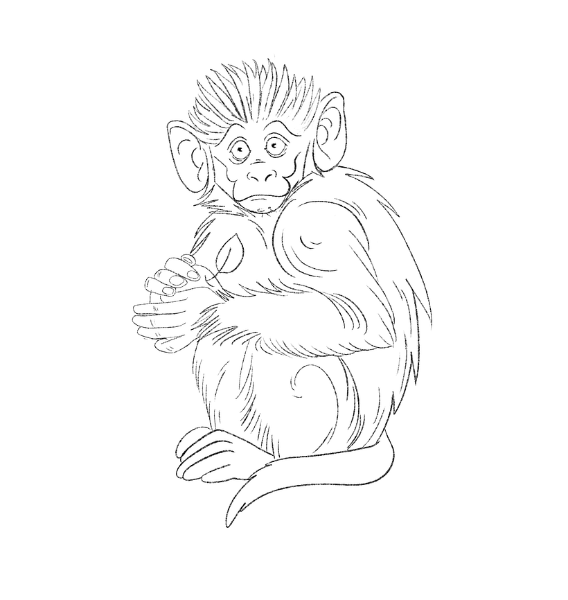 How to Draw A Monkey Step by Step | Domestika