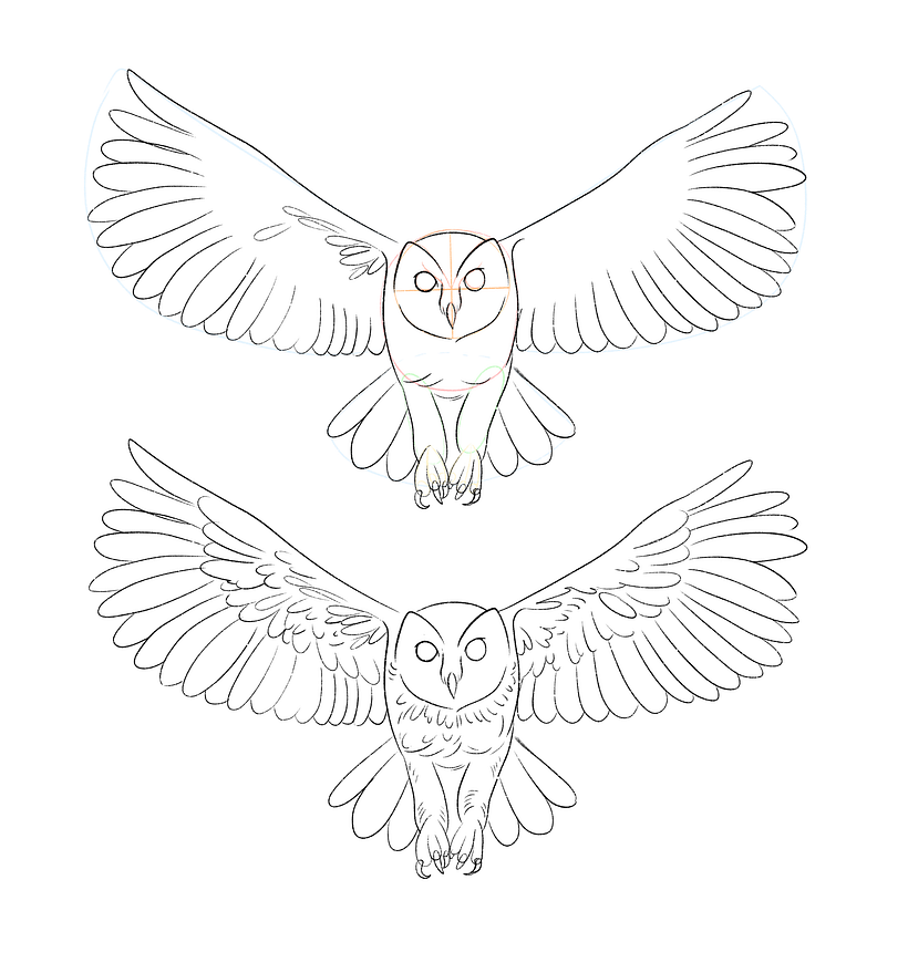Free Tutorial: How to Draw an Owl | Domestika
