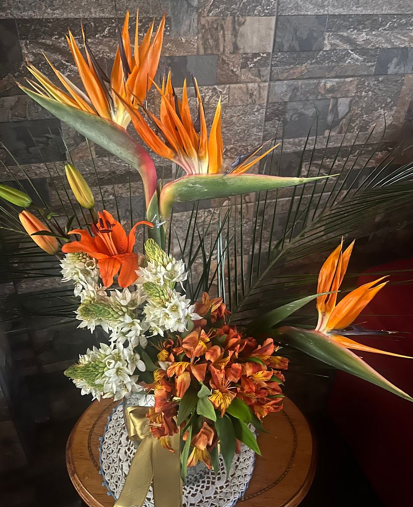 ARMONÍA TROPICAL | Domestika